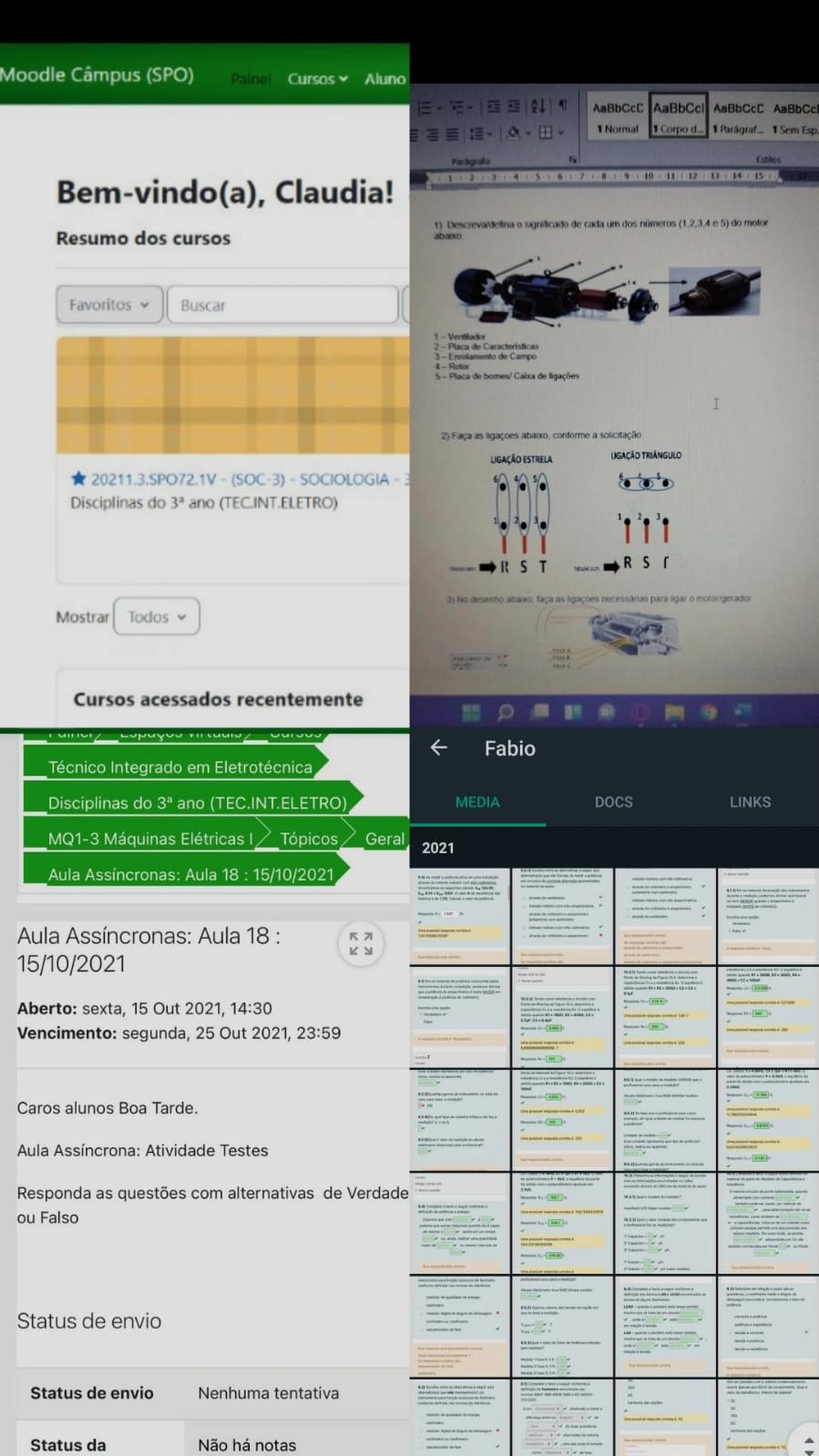 Linha do tempo - Plataforma PROA